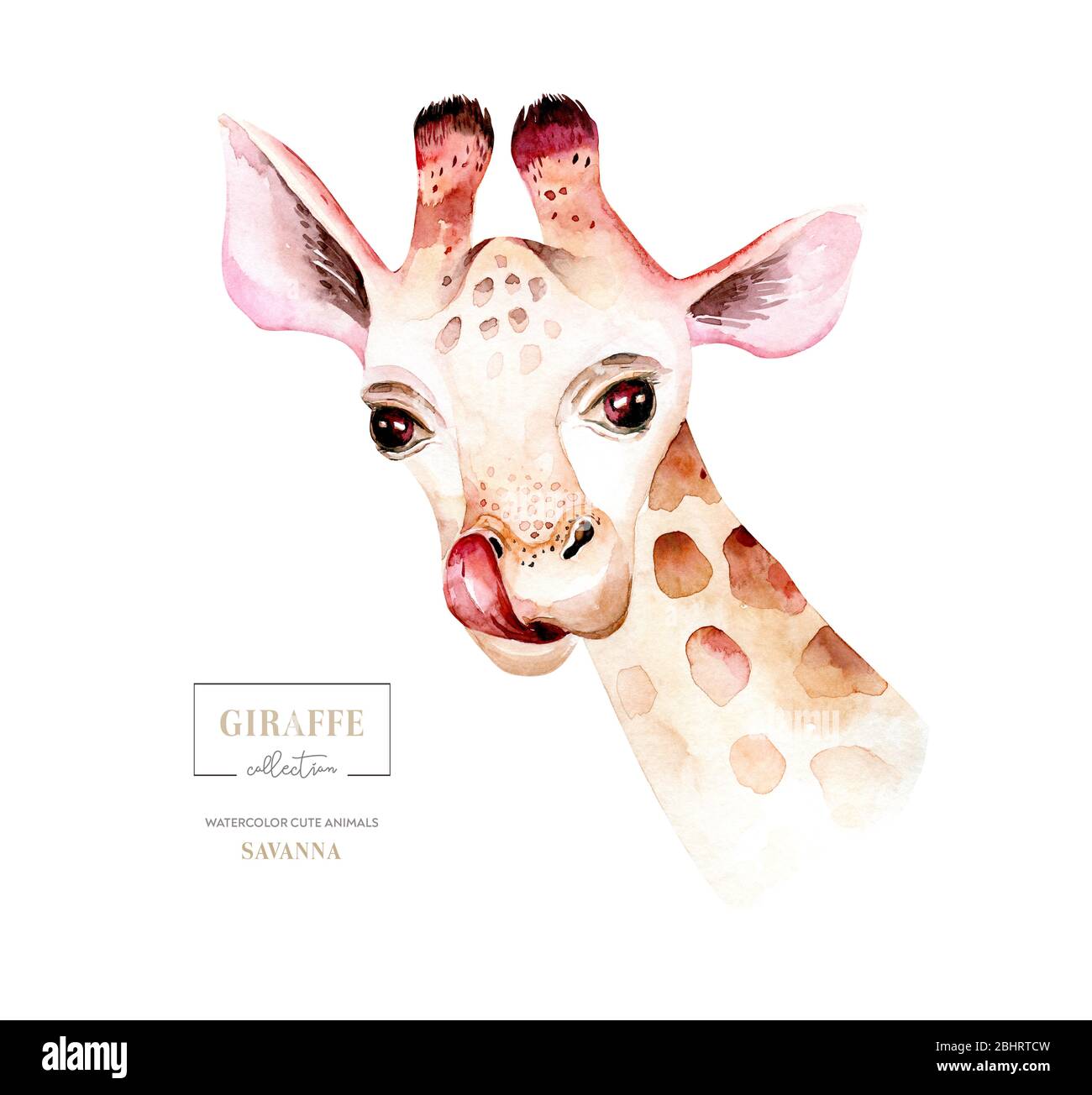 Africa watercolor savanna giraffe, animal illustration. African Safari ...
