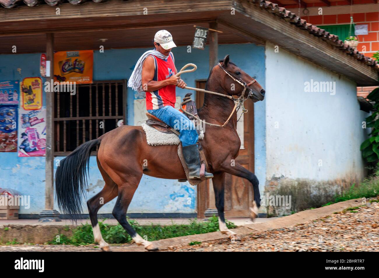 Farm and cowboy near Calima Lake in Darien in the Cauca Valley ...