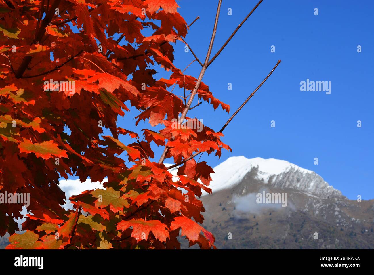 the beautiful colors of autumn Stock Photo - Alamy