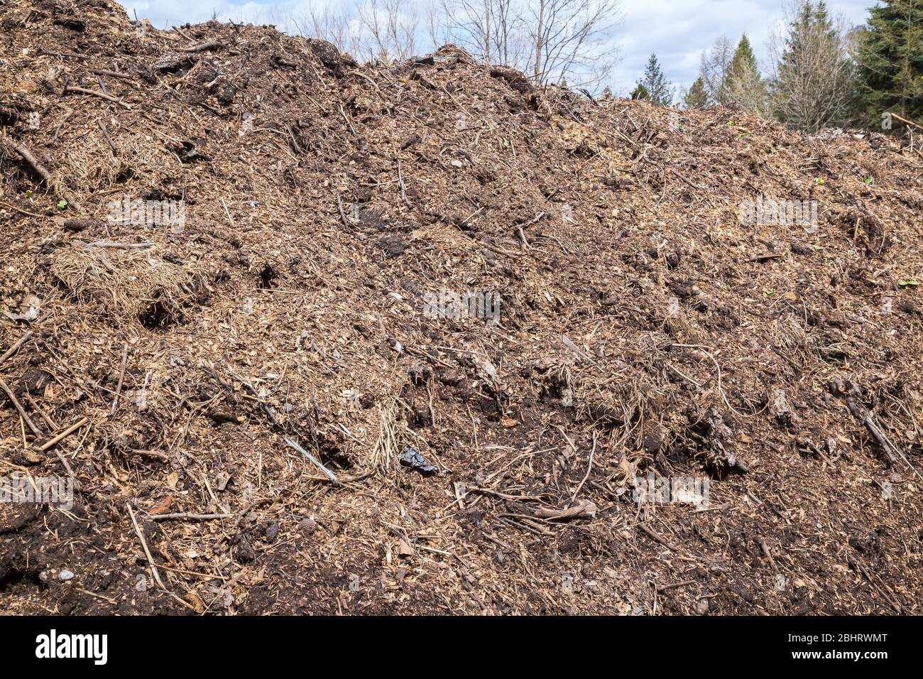 Pile of twigs and branches hi-res stock photography and images - Alamy