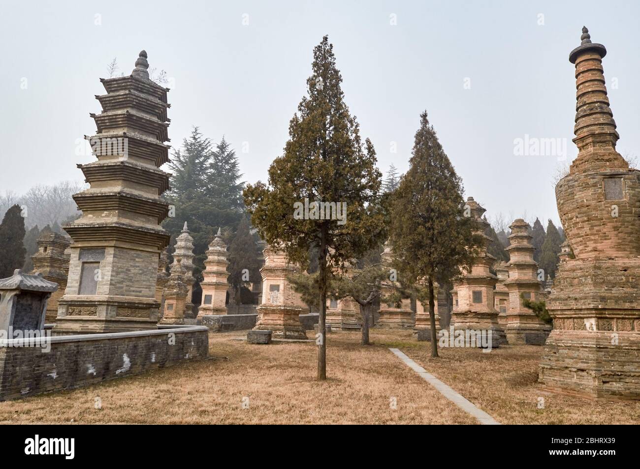 Pagoda Forest at Shaolin Temple, near Luoyang in Henan province, China ...