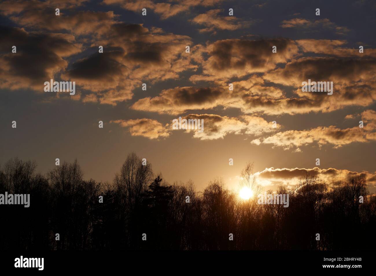 Beautiful evening landscape with the setting sun, trees and clouds ...