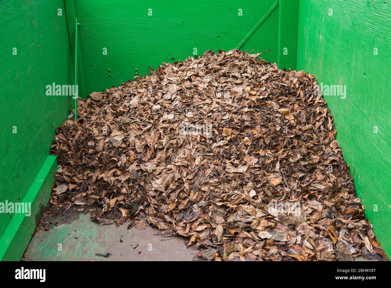 Pile of dead leaves in green wooden composting bin Stock Photo - Alamy