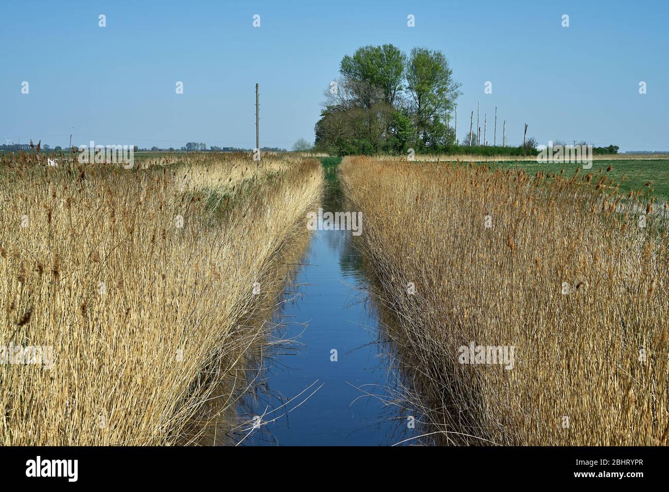 Reeds canal hi-res stock photography and images - Alamy