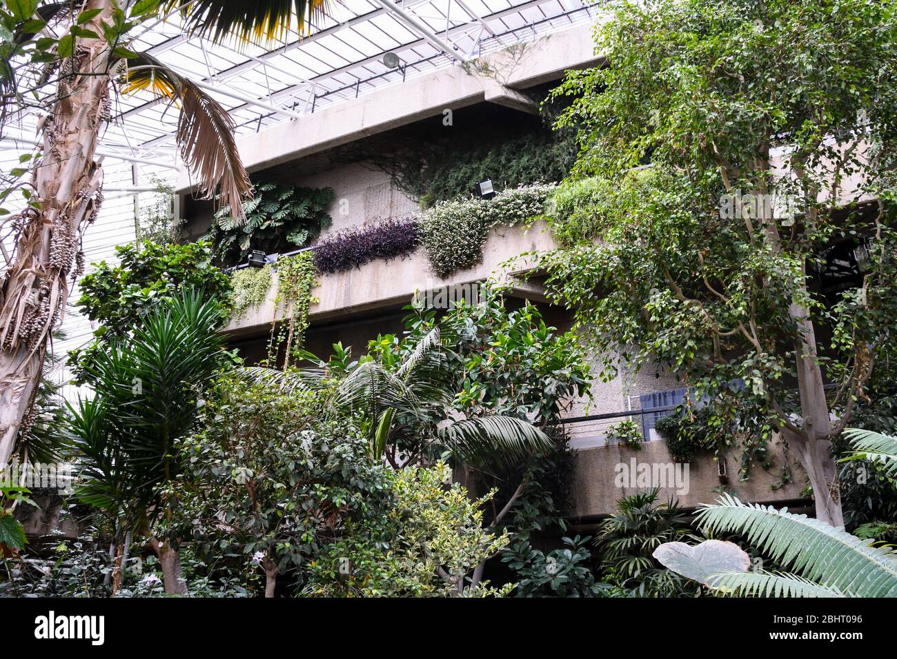 London, United Kingdom, 25th of January 2020: The Conservatory at The ...