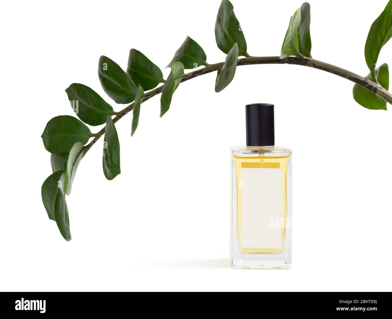 Beautiful composition with bottle of perfume and leaves branches ...