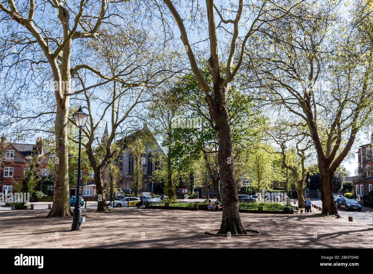 Village square plane trees hi-res stock photography and images - Alamy