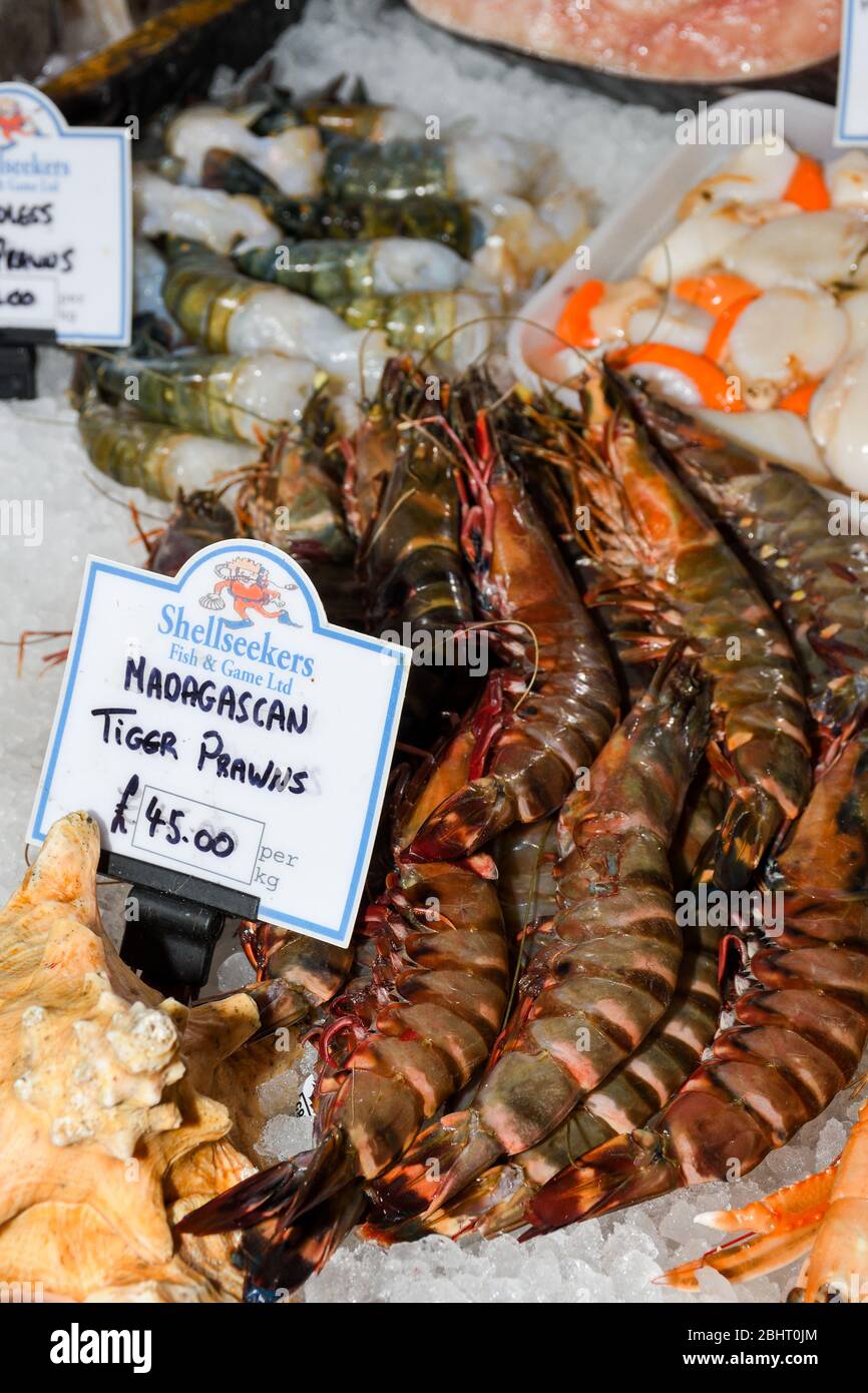 The giant tiger prawn or Asian tiger shrimp, is a marine crustacean ...