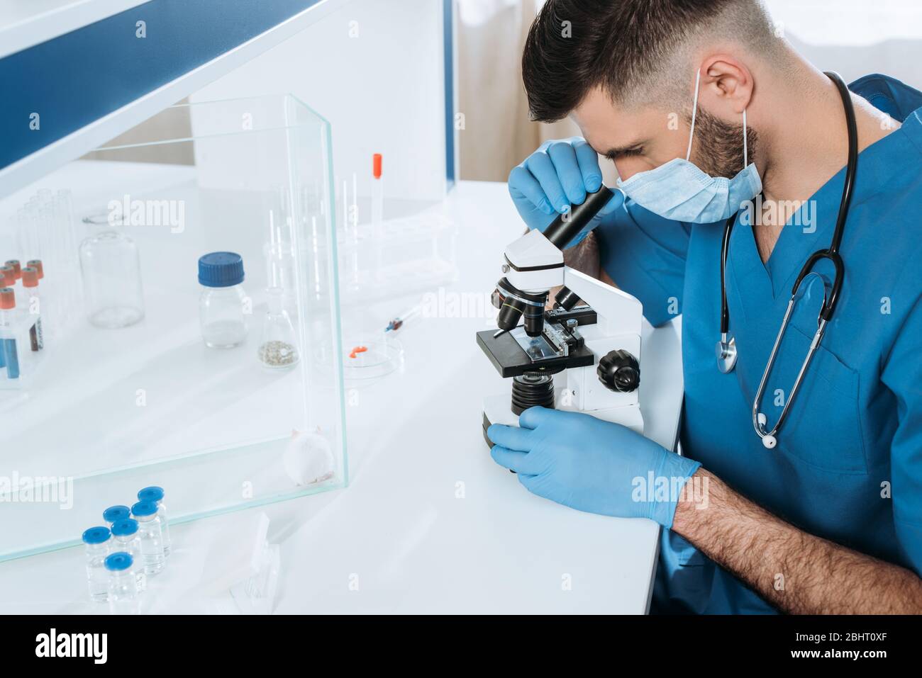 young biologist in medical mask and lates gloves making analysis with ...