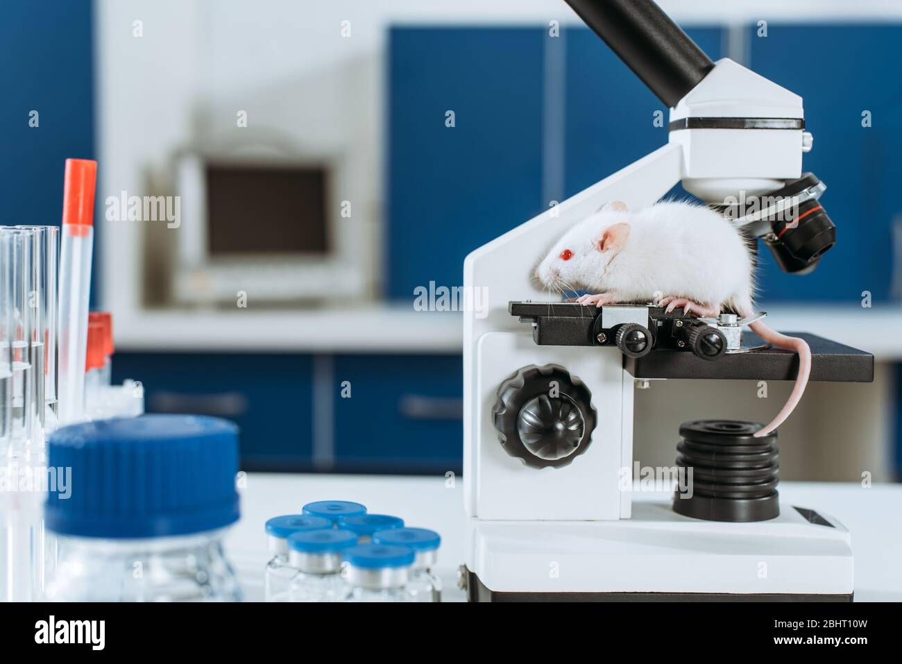 white mouse on microscope near test tubes and containers with medicines ...