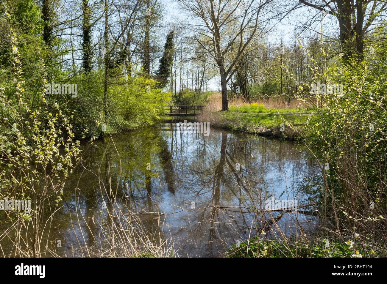wooden bridge over a small river in springtime in holland Stock Photo ...