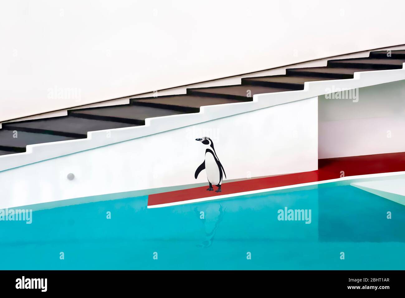 Watercolour style illustration of a penguin in a pool, based on the ...