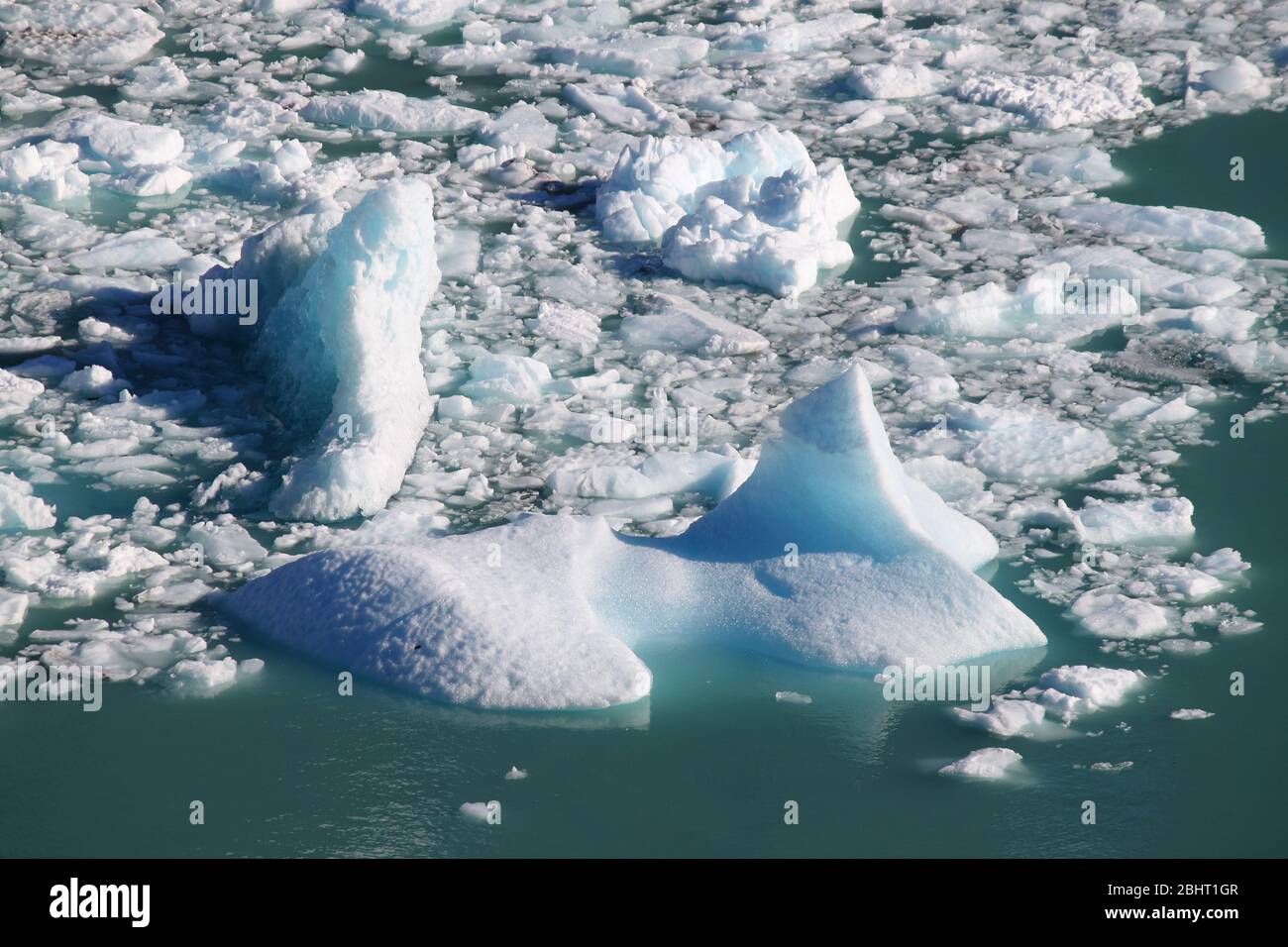 Pieces of blue ancient ice floating in the water of Perito Moreno lake ...
