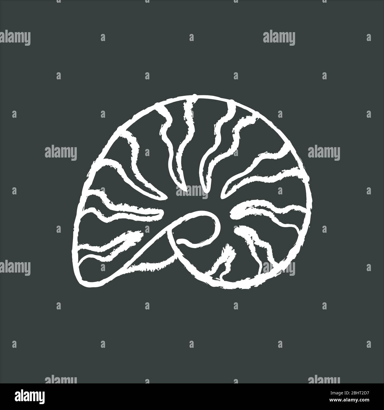 Moonshell chalk white icon on black background Stock Vector Image & Art ...
