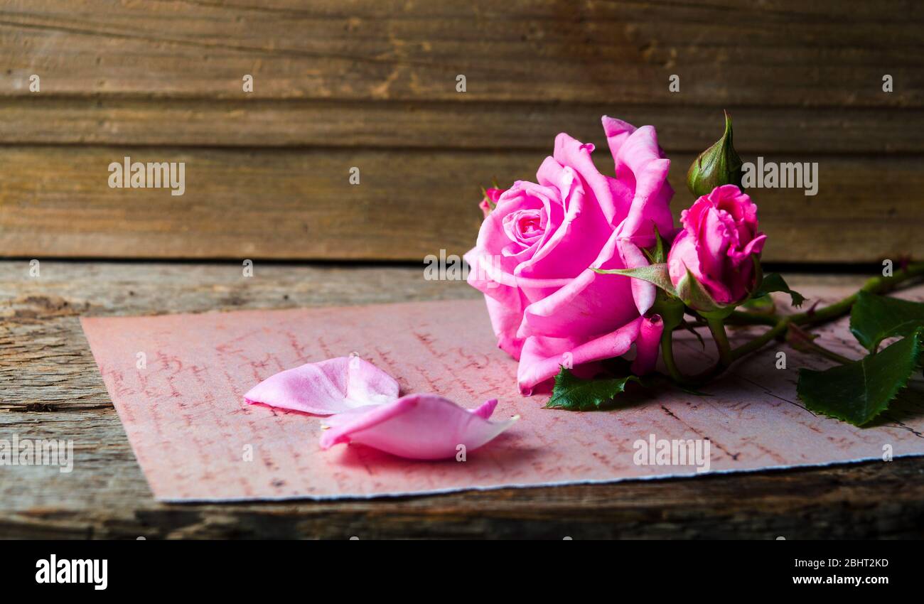 Pink roses on a vintage paper for a romantic letter Stock Photo - Alamy