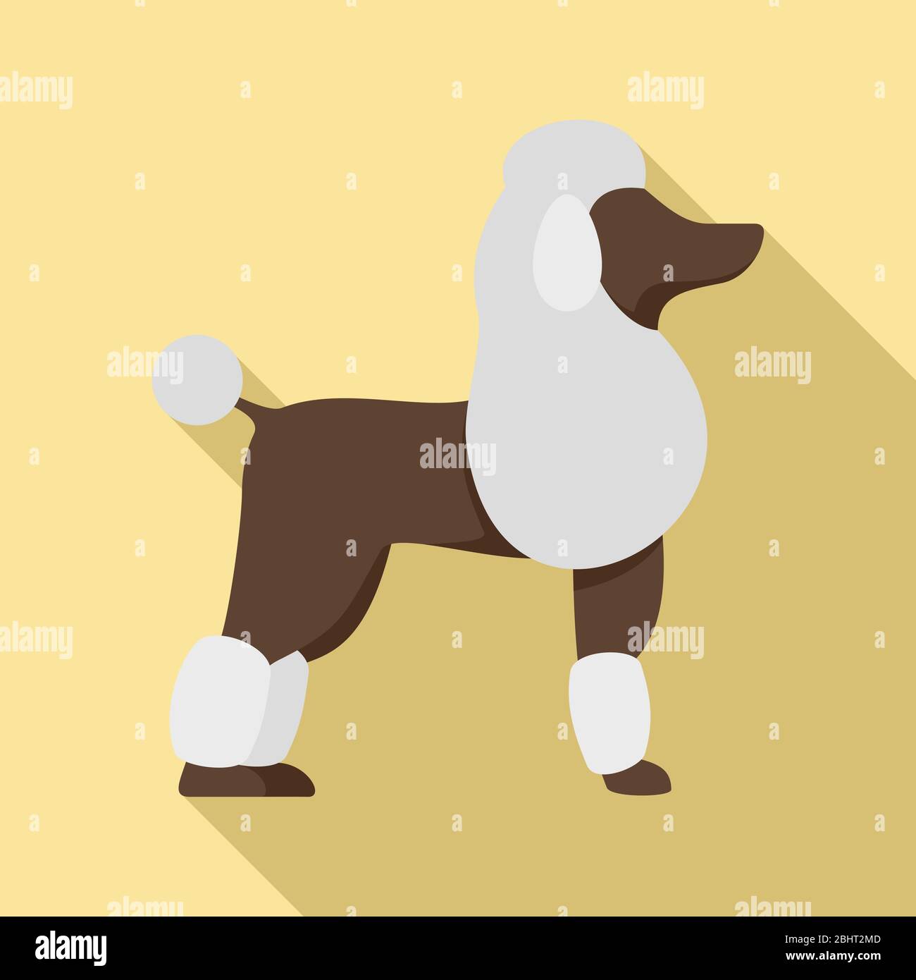Poodle dog icon. Flat illustration of poodle dog vector icon for web ...