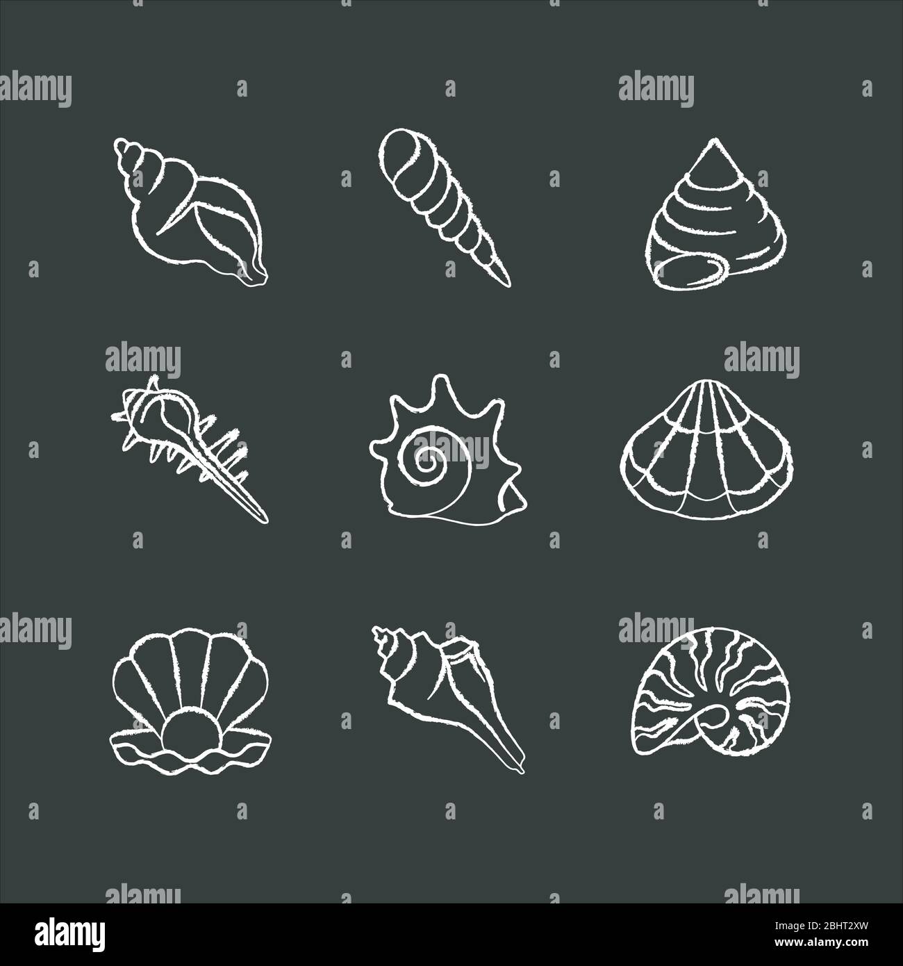 Sea shells chalk white icons set on black background Stock Vector Image ...