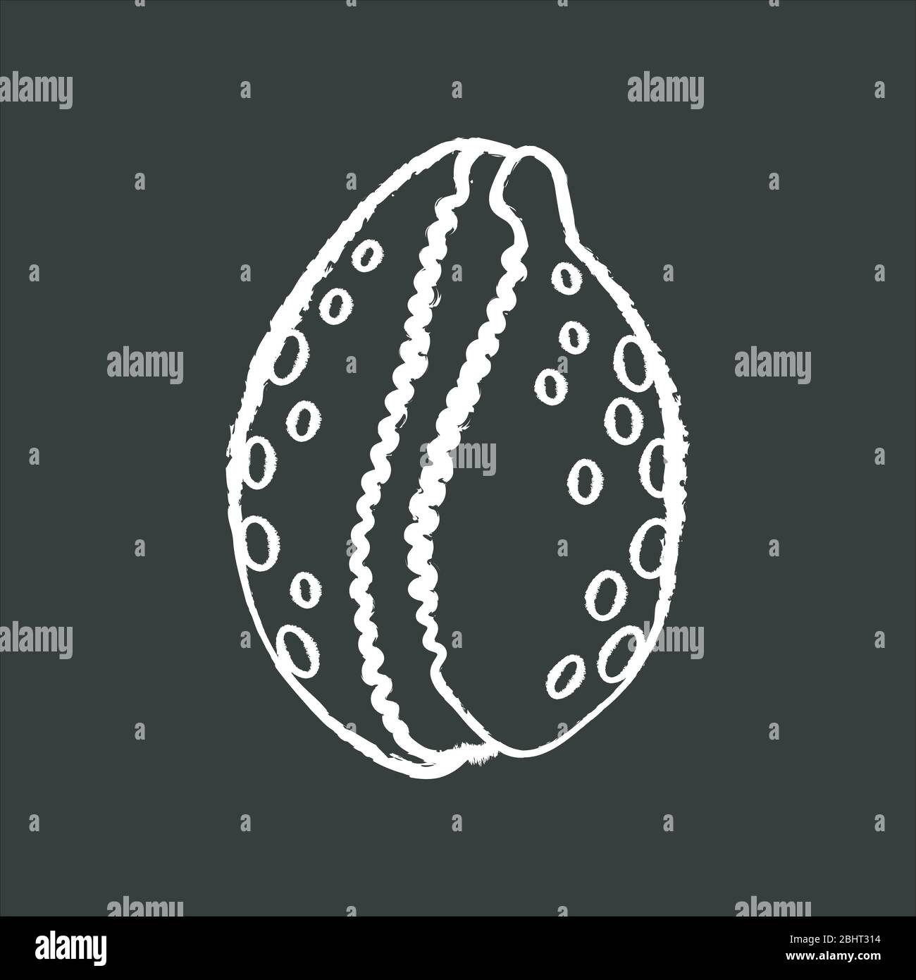 Cowrie shell water Stock Vector Images - Alamy