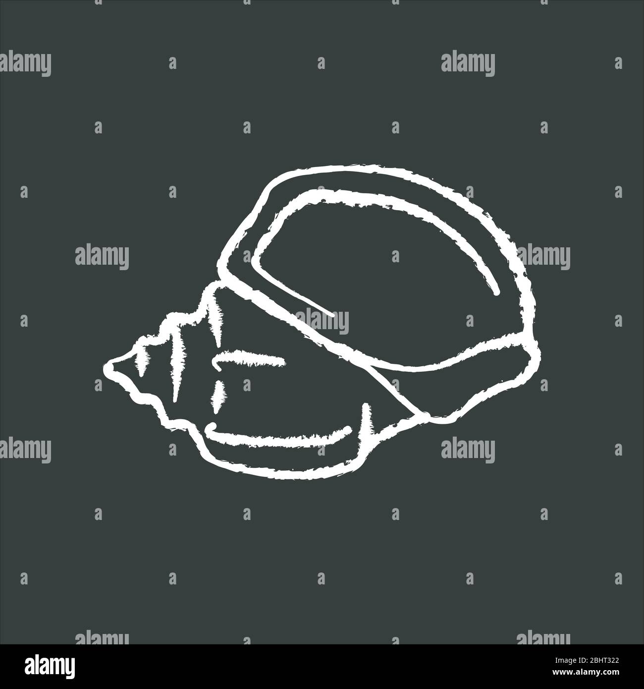 Large shell in ocean Black and White Stock Photos & Images - Alamy