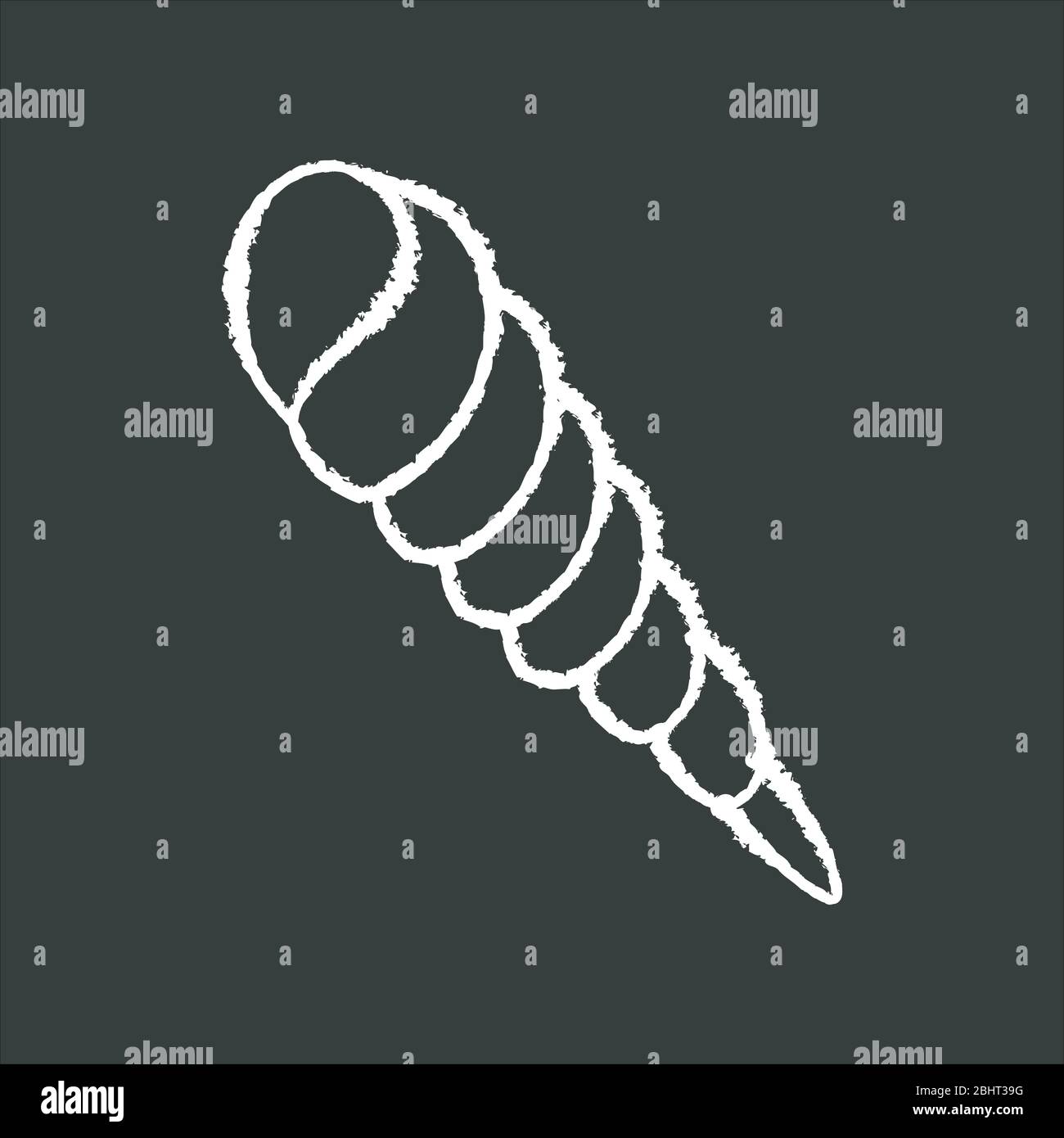Auger shell chalk white icon on black background Stock Vector Image ...