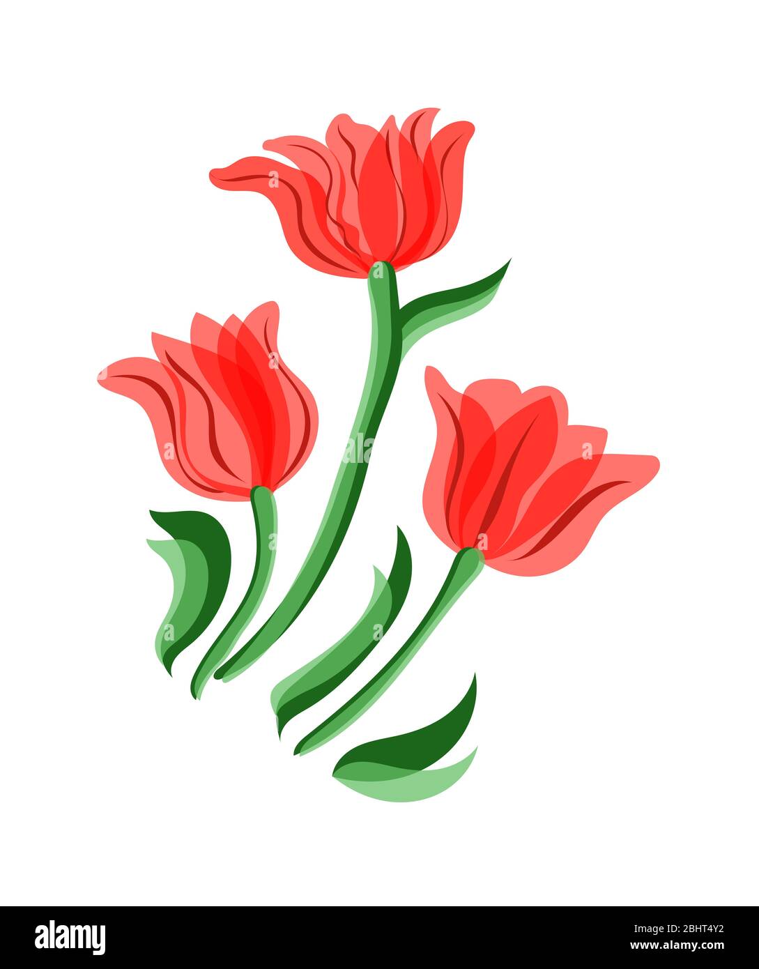 Illustration of red tulips. Three red tulips. Spring illustration Stock ...