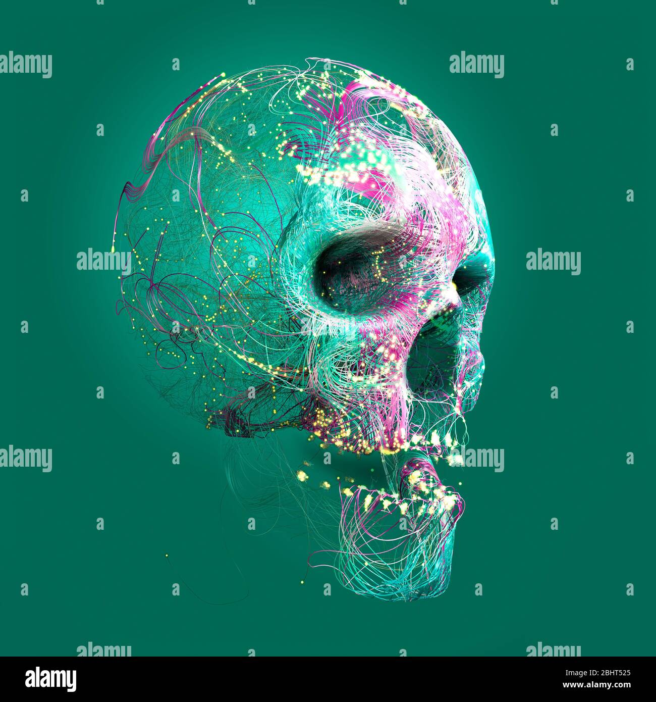 Sphenoid bone hi-res stock photography and images - Alamy