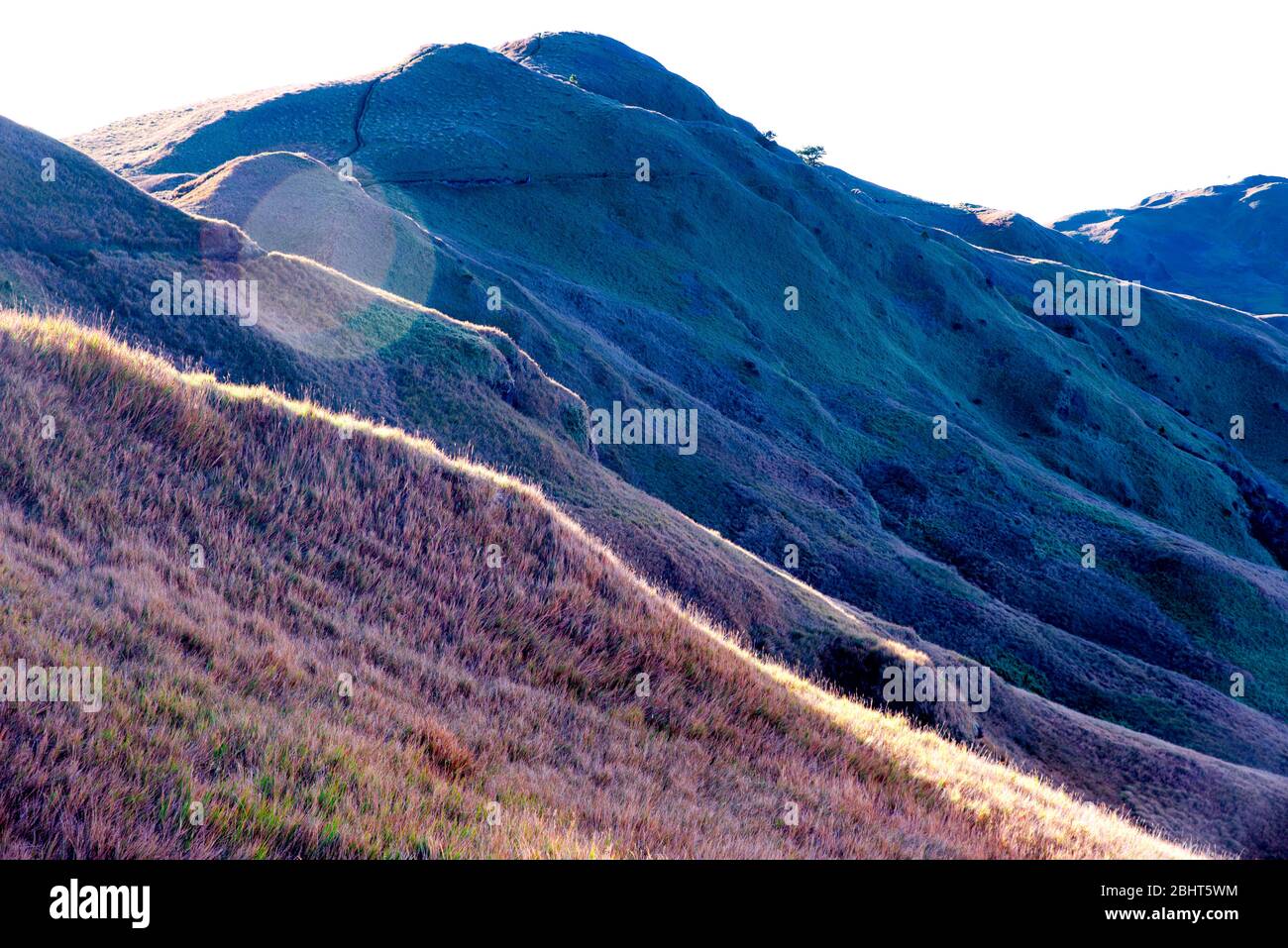 Mount pulag national park hi-res stock photography and images - Alamy