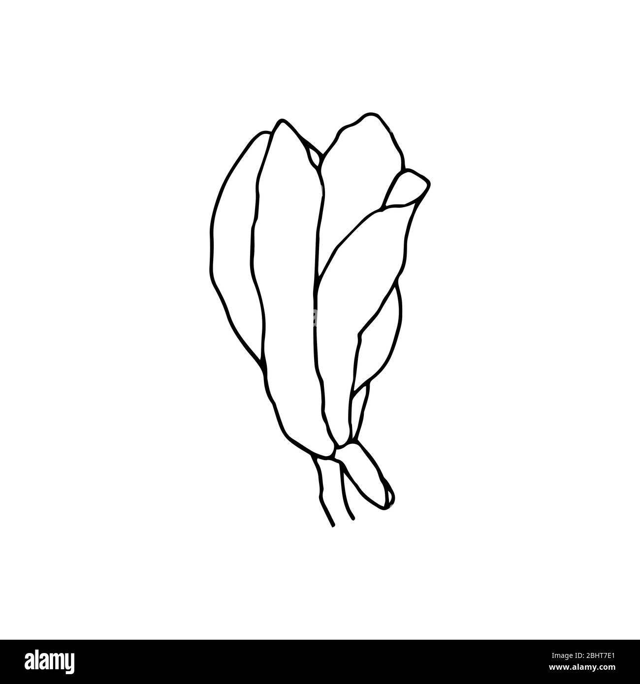 Trudged Clipart Flowers