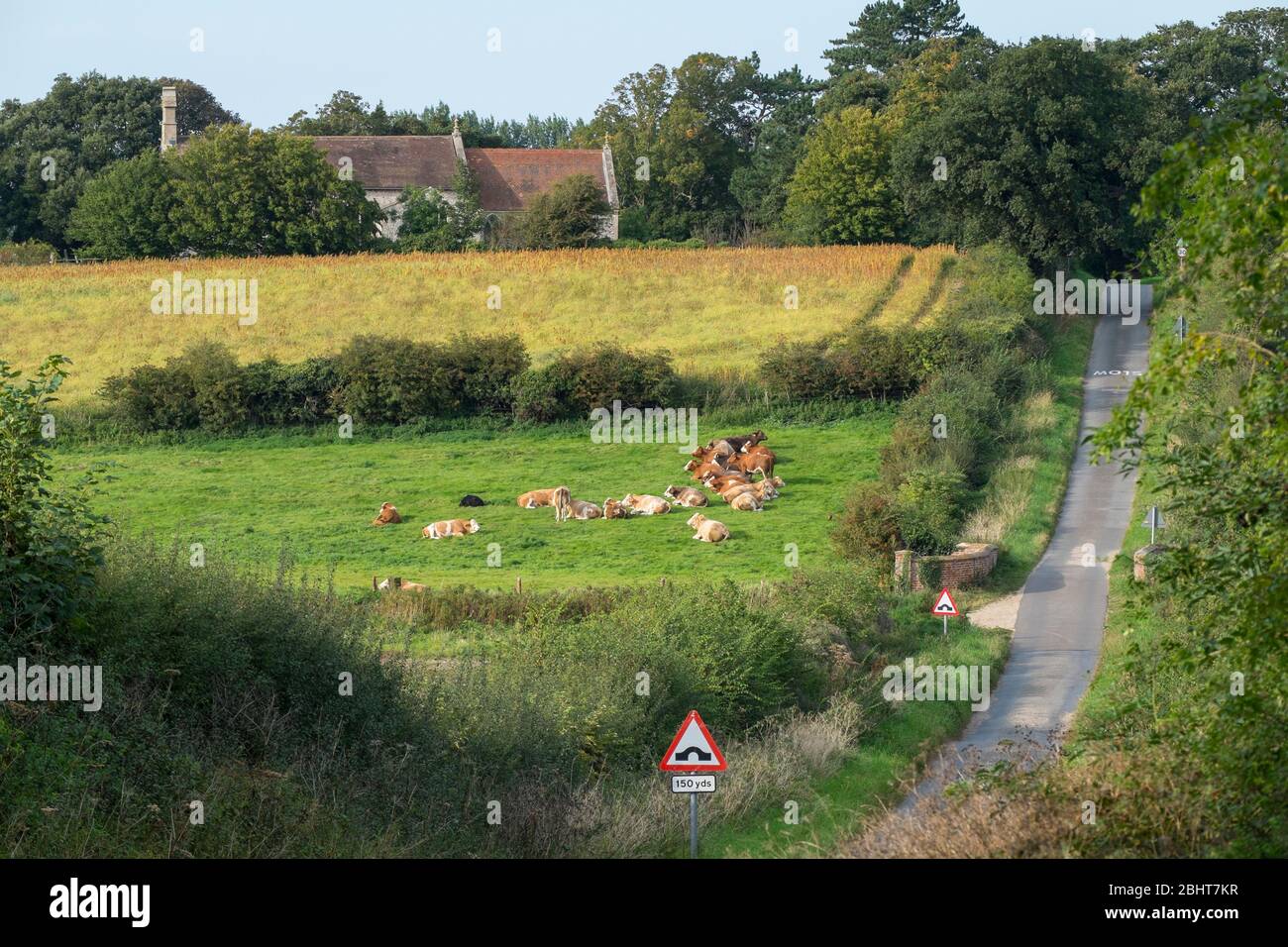 Village norfolk hi-res stock photography and images - Alamy