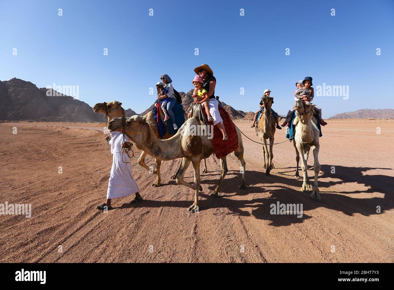 Arab man riding camel on hi-res stock photography and images - Alamy