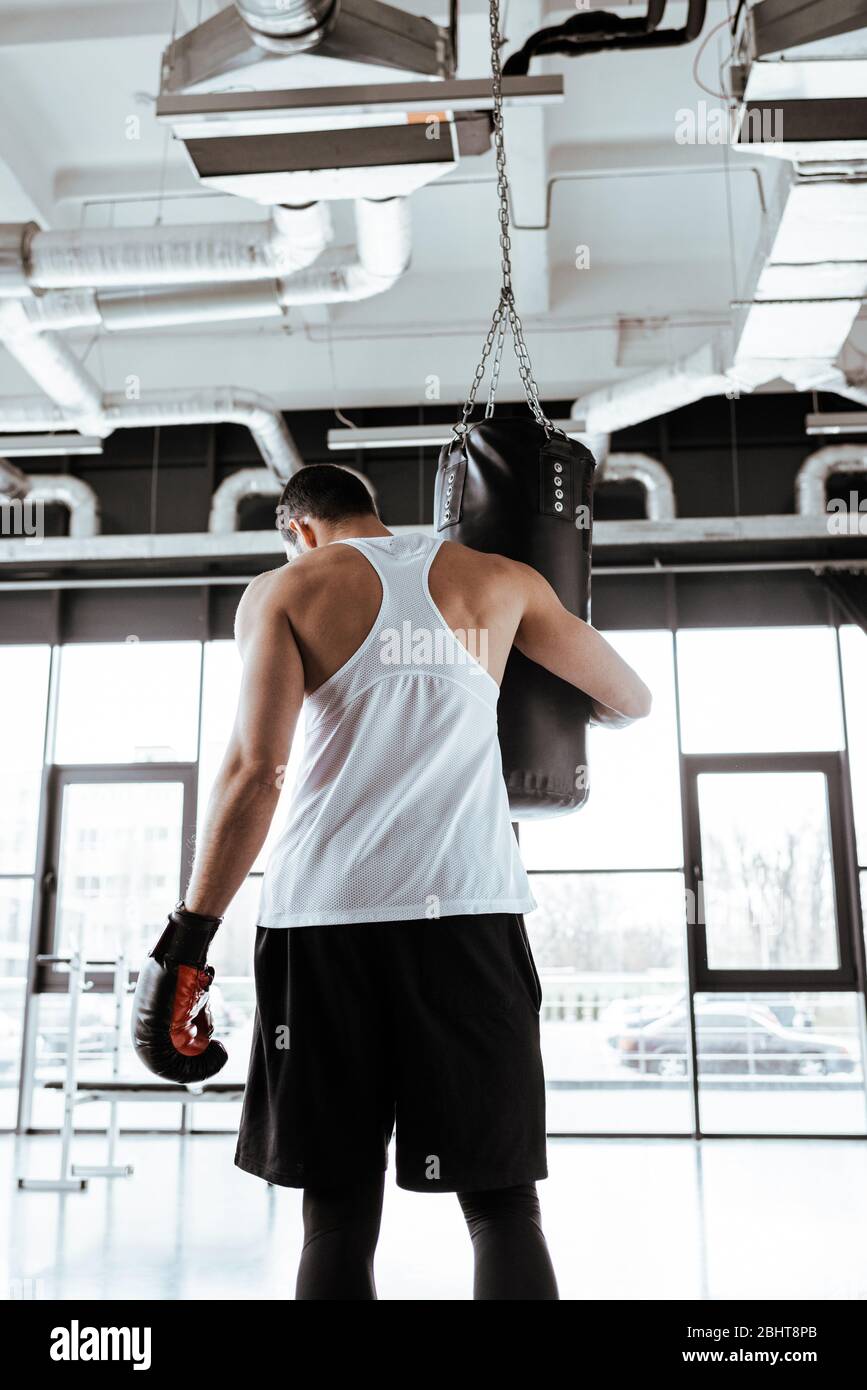 back view of sportsman in boxing gloves touching punching bag while ...