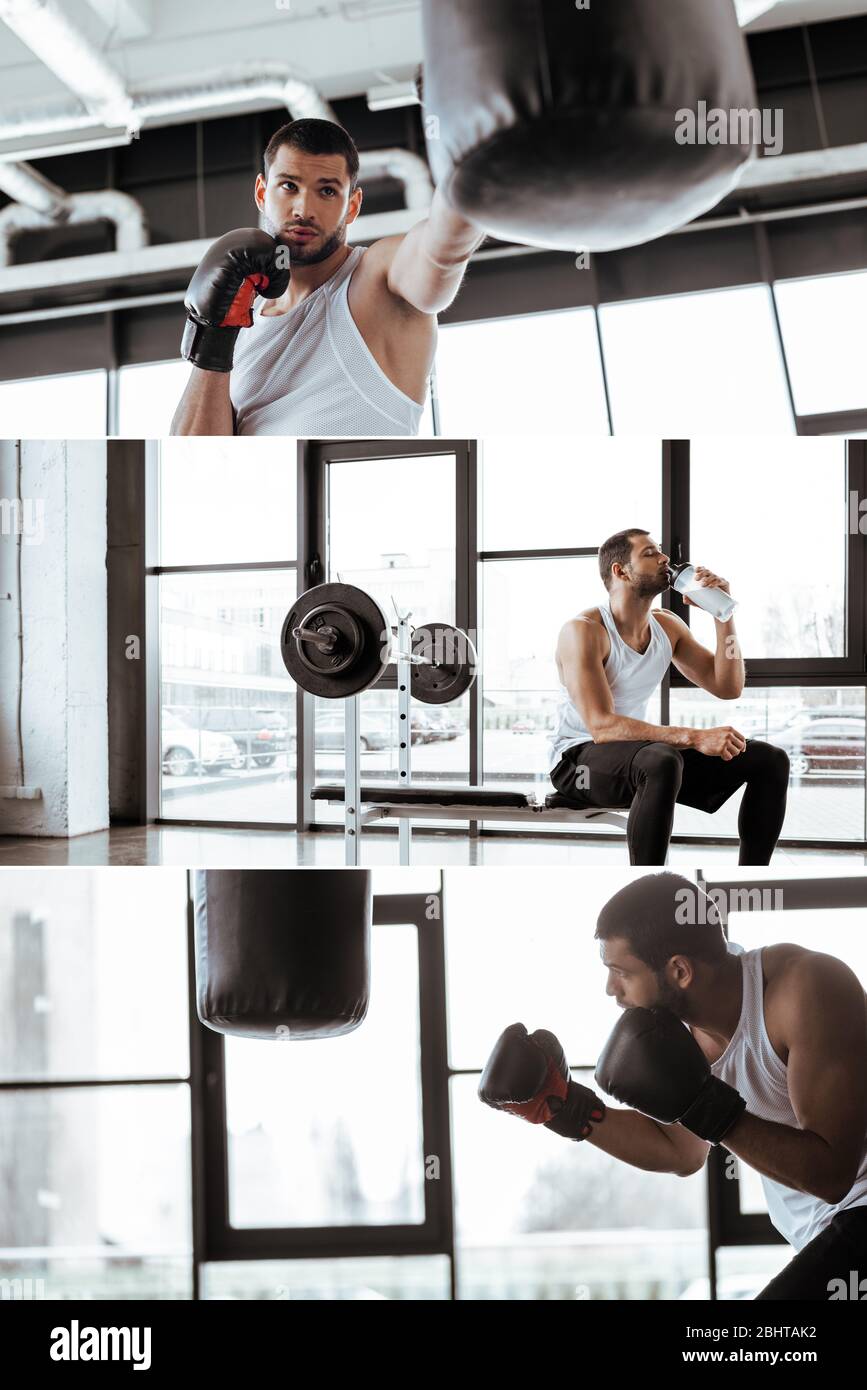 collage of man in boxing gloves exercising with punching bag and ...
