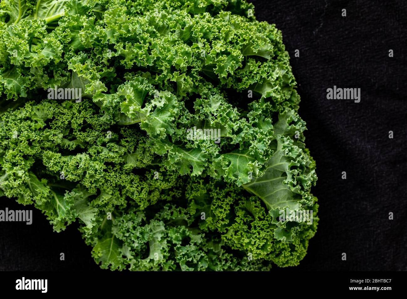 Curly Leaf Kale High Resolution Stock Photography and Images - Alamy