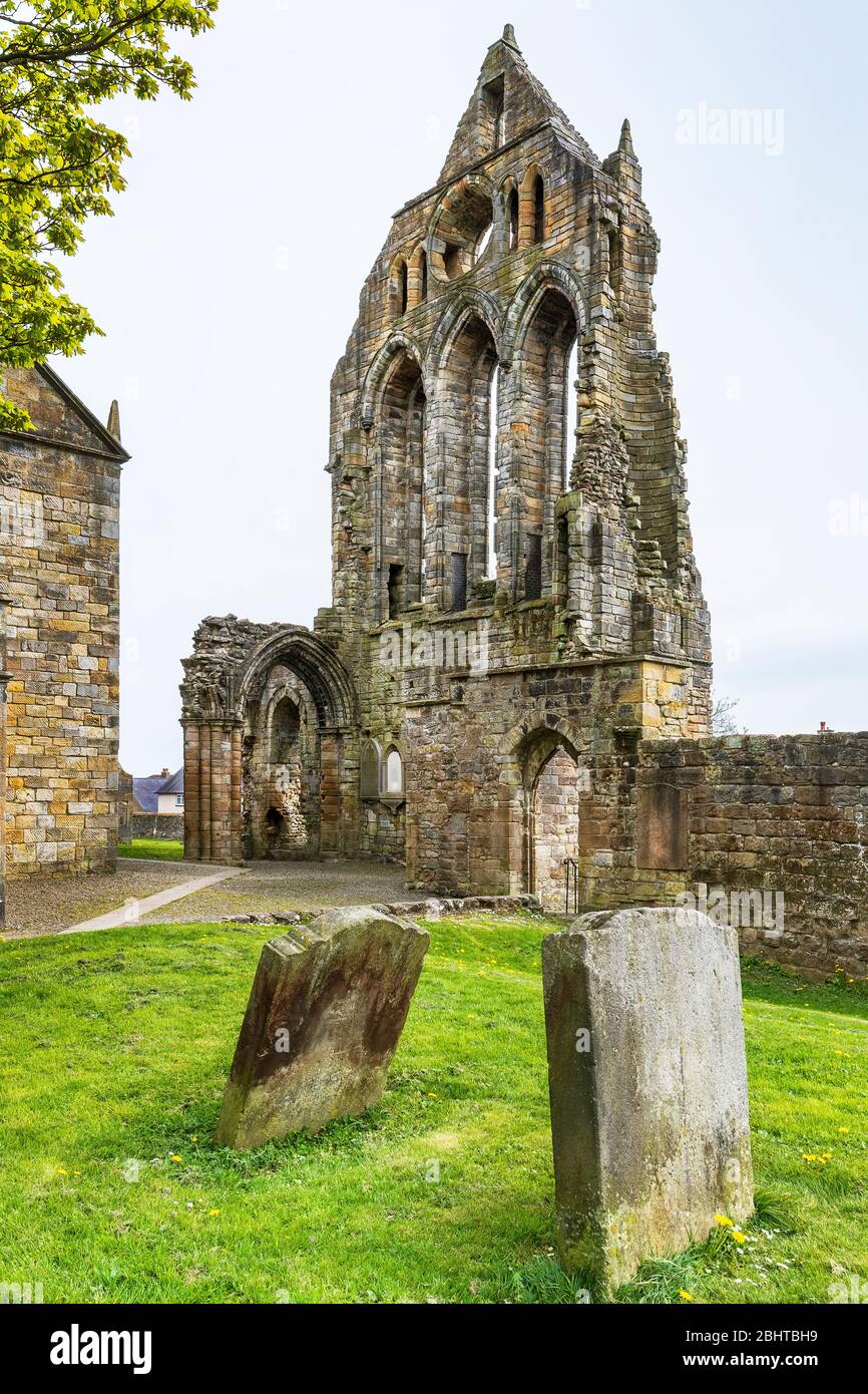 Remains of the south transept on Kilwinning Abbey, built by Tironensian ...