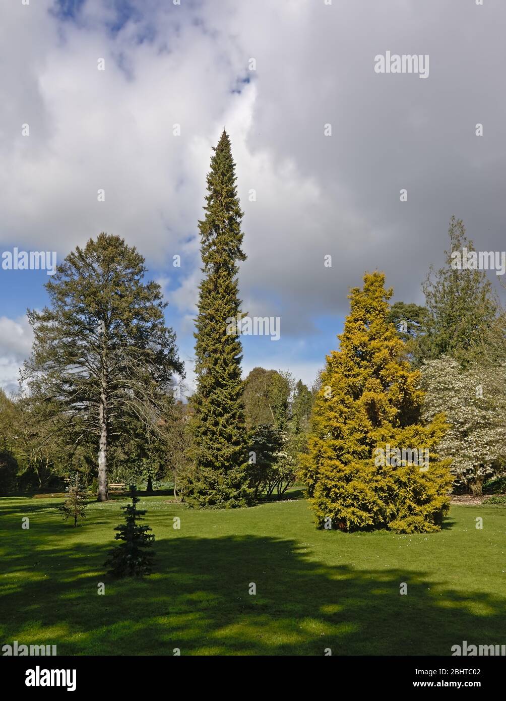 Park with many different trees in Dublin botanic gardens in spring ...