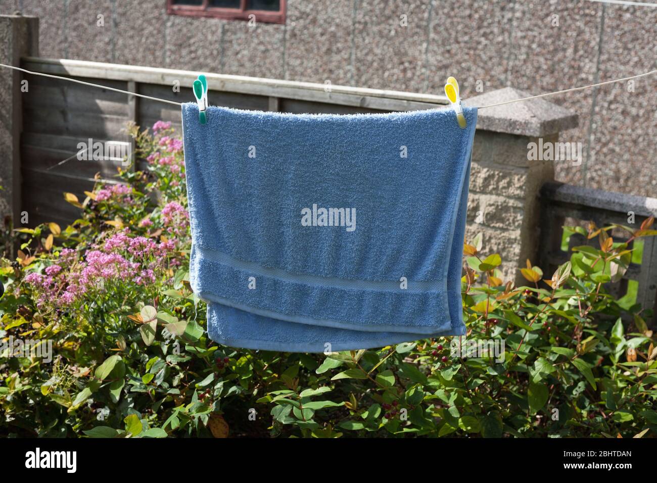 Blue towel on washing line Stock Photo - Alamy