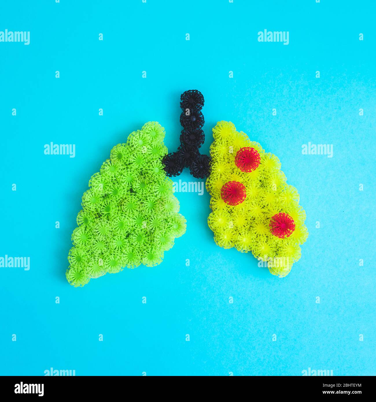 Top view lungs made from sticky balls by child on the blue background ...