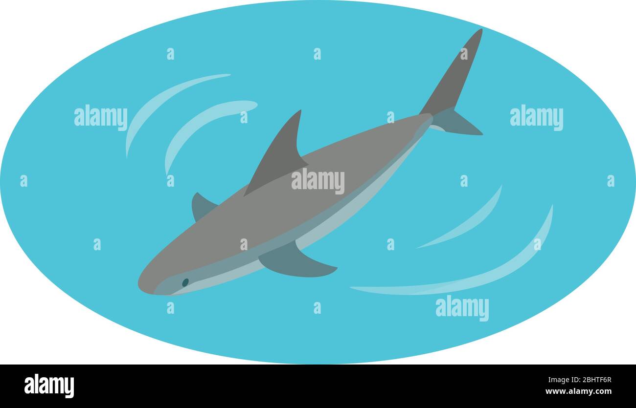 Shark floating Stock Vector Images - Alamy