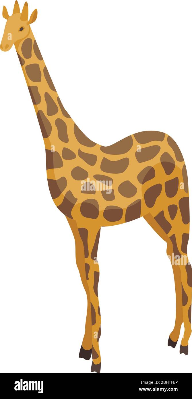 Giraffe icon, isometric style Stock Vector Image & Art - Alamy
