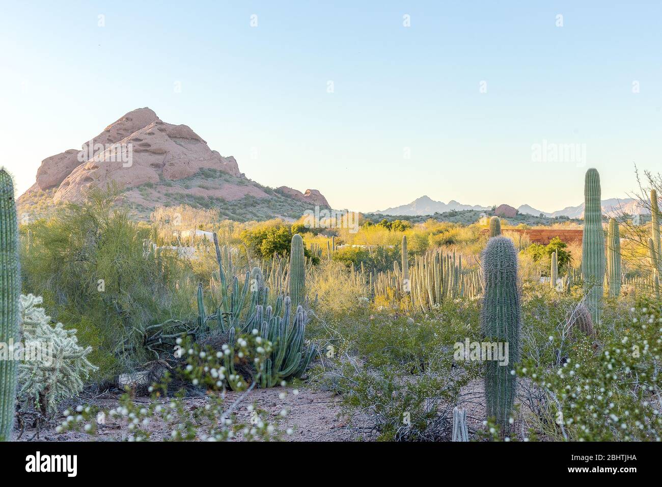 Barrett-Jackson Auction Company2021 Stock Photo - Alamy