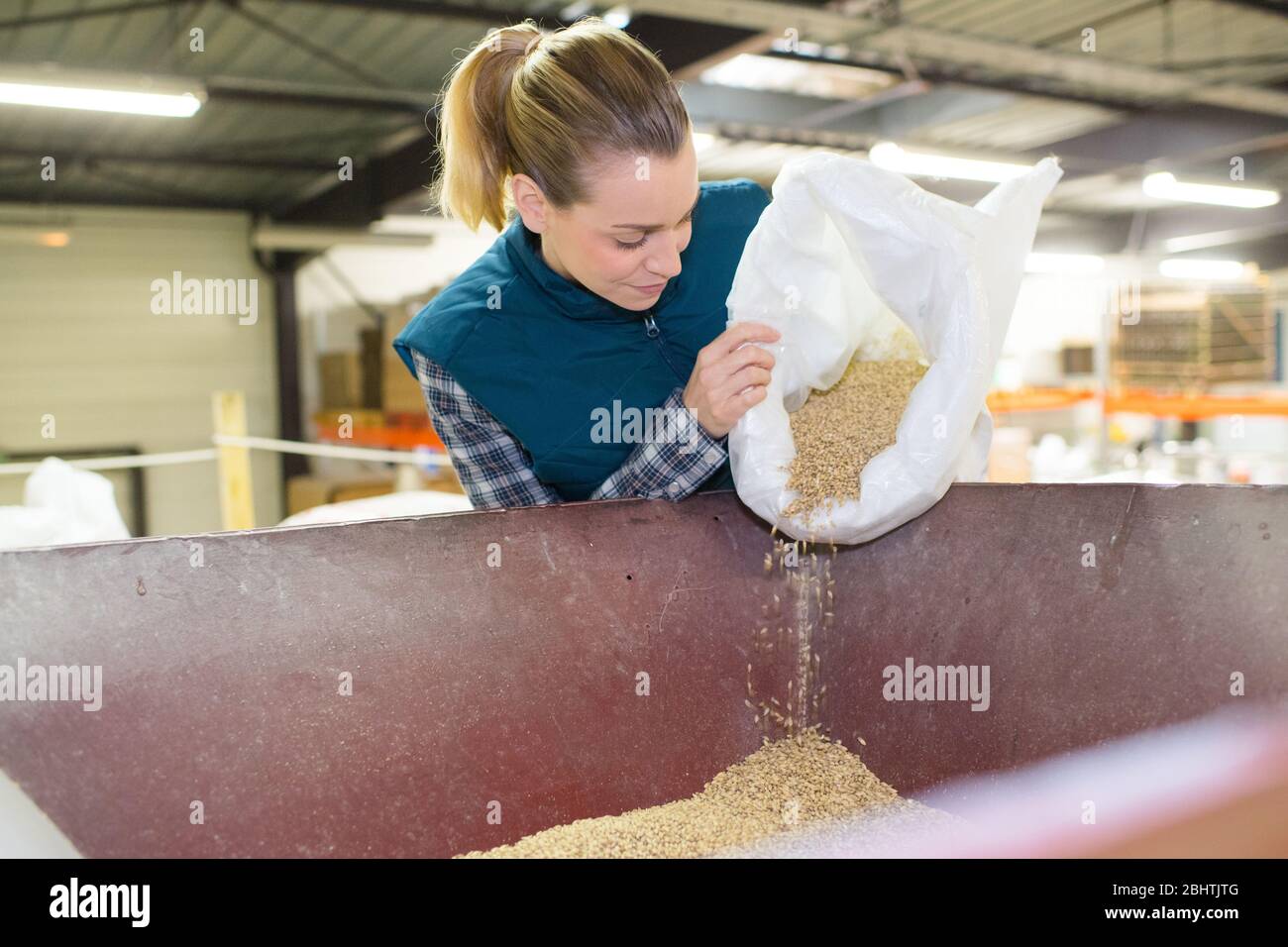 female worker pouring grains in the container Stock Photo - Alamy