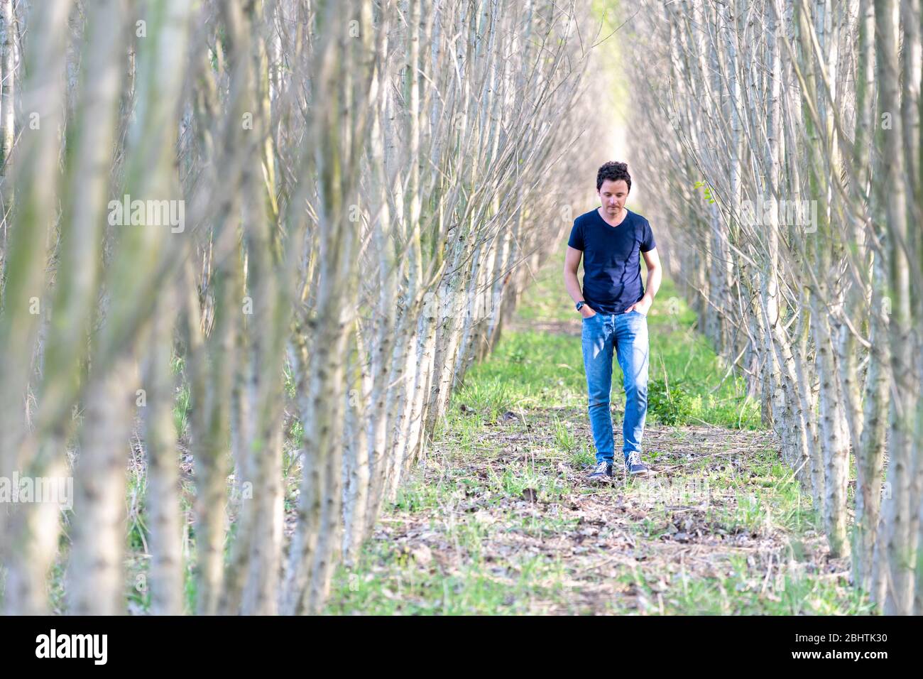 lonely man on a forest walk Stock Photo - Alamy