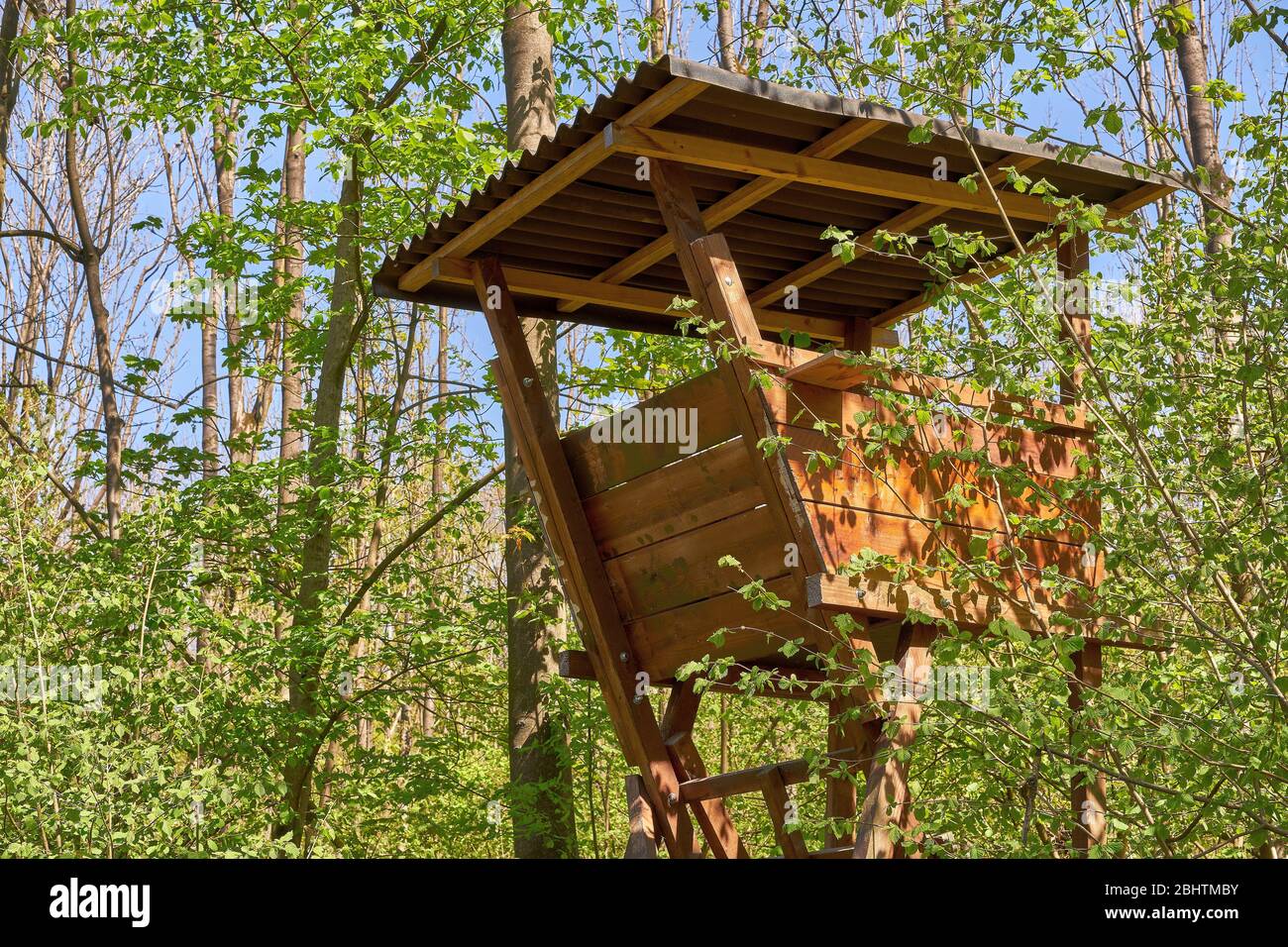 Hunting pulpit hi-res stock photography and images - Alamy