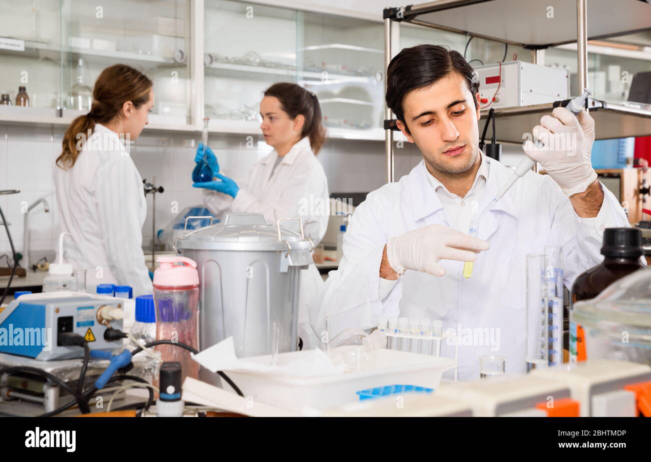 Scientific researching in laboratory. Focused young efficient positive ...