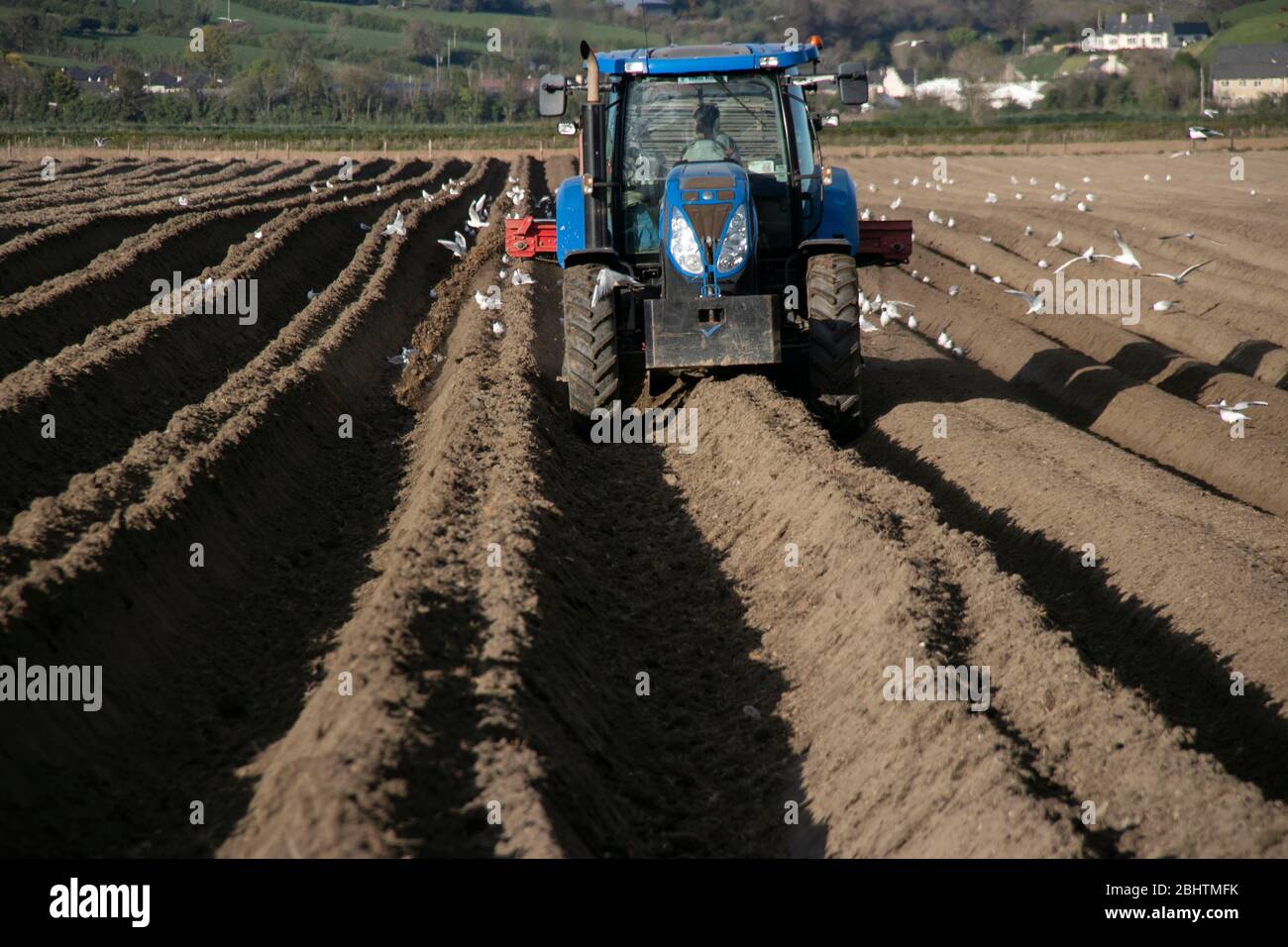 Sowing plough hi-res stock photography and images - Alamy
