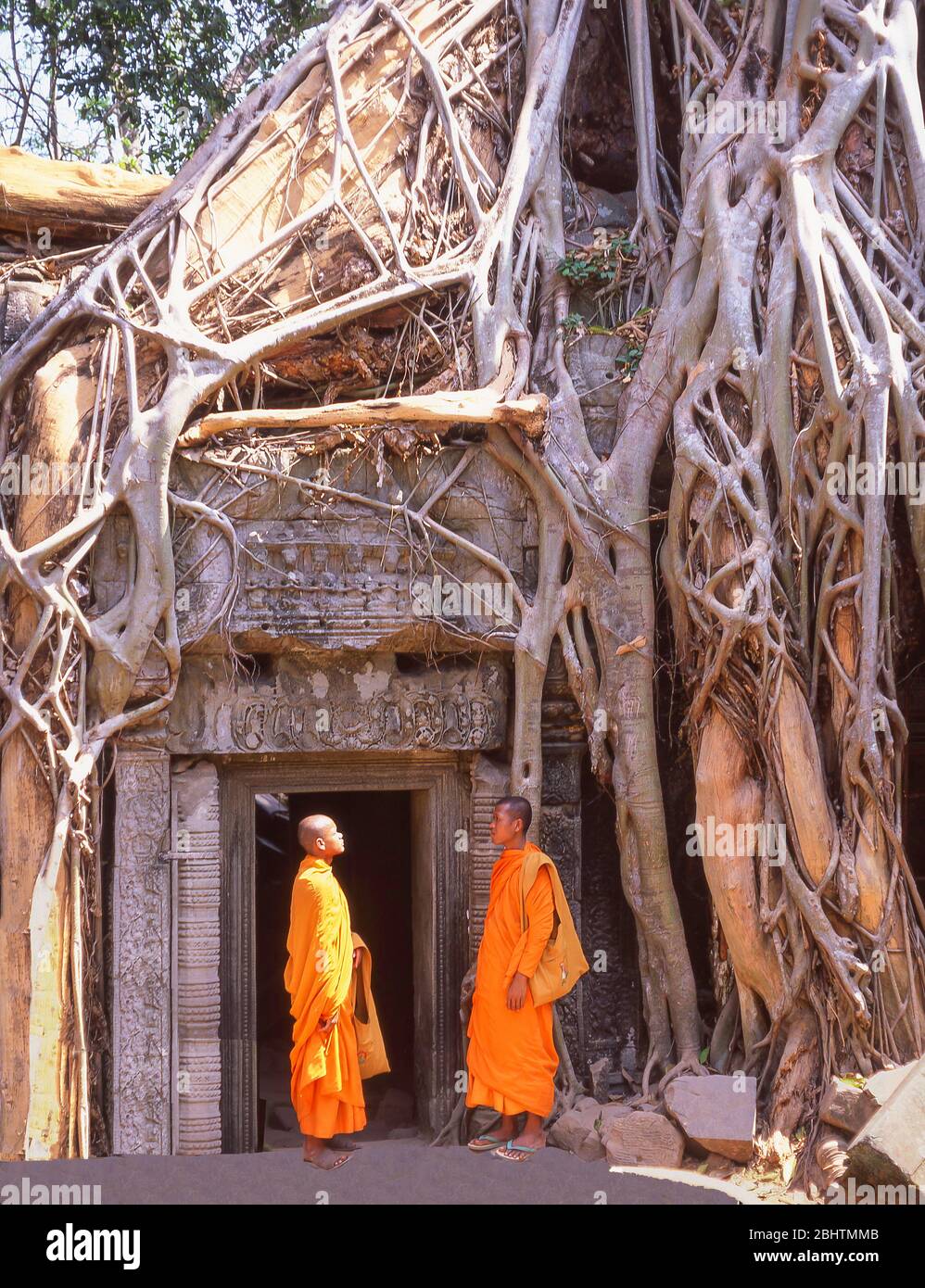 Monks standing by spung tree roots , Ta Prohm, Siem Reap, Kingdom of ...