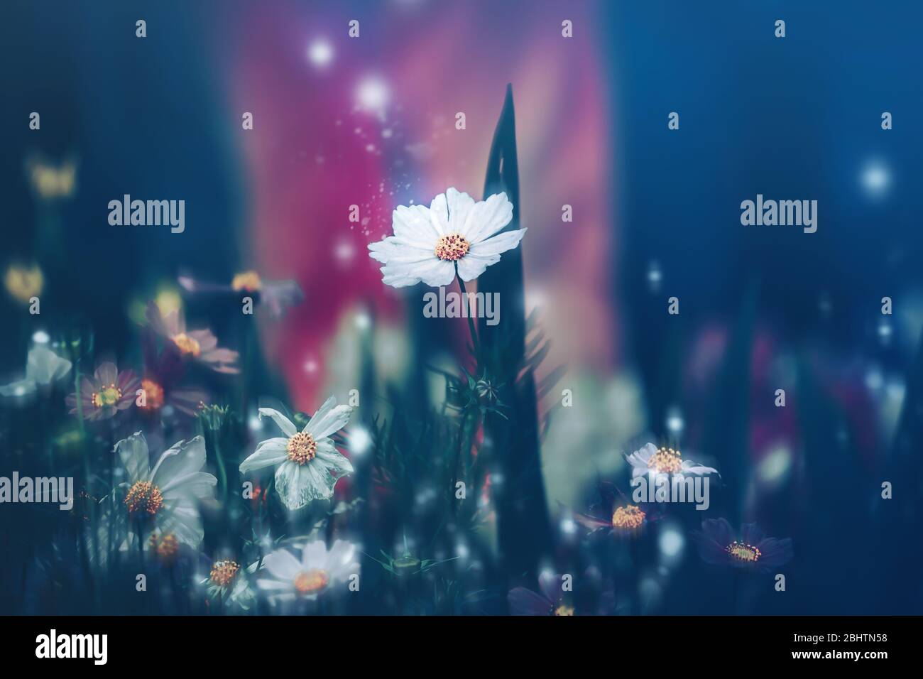 Dramatic flower background; Nature Background Stock Photo - Alamy
