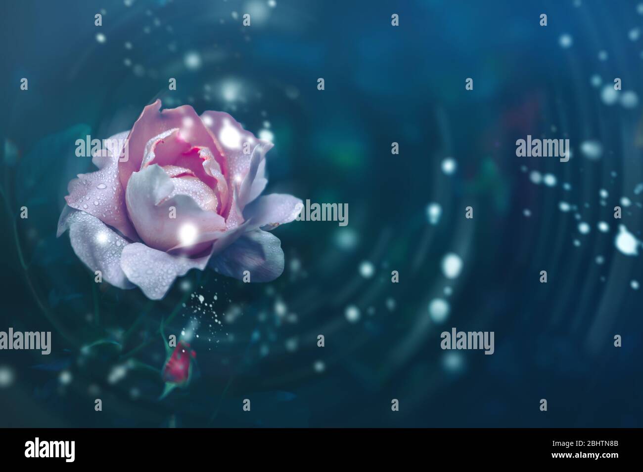 Dramatic flower background; Nature Background Stock Photo - Alamy