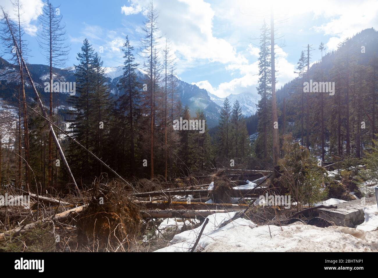 Impressive view of rocky peaks of Tatra mountains covered with snow in ...