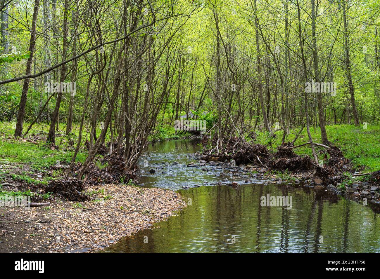 Photo of the Snakeden Branch Stream in Reston, Fairfax County Virginia ...